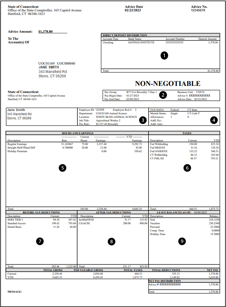 Deciphering Your Paycheck Payroll Department